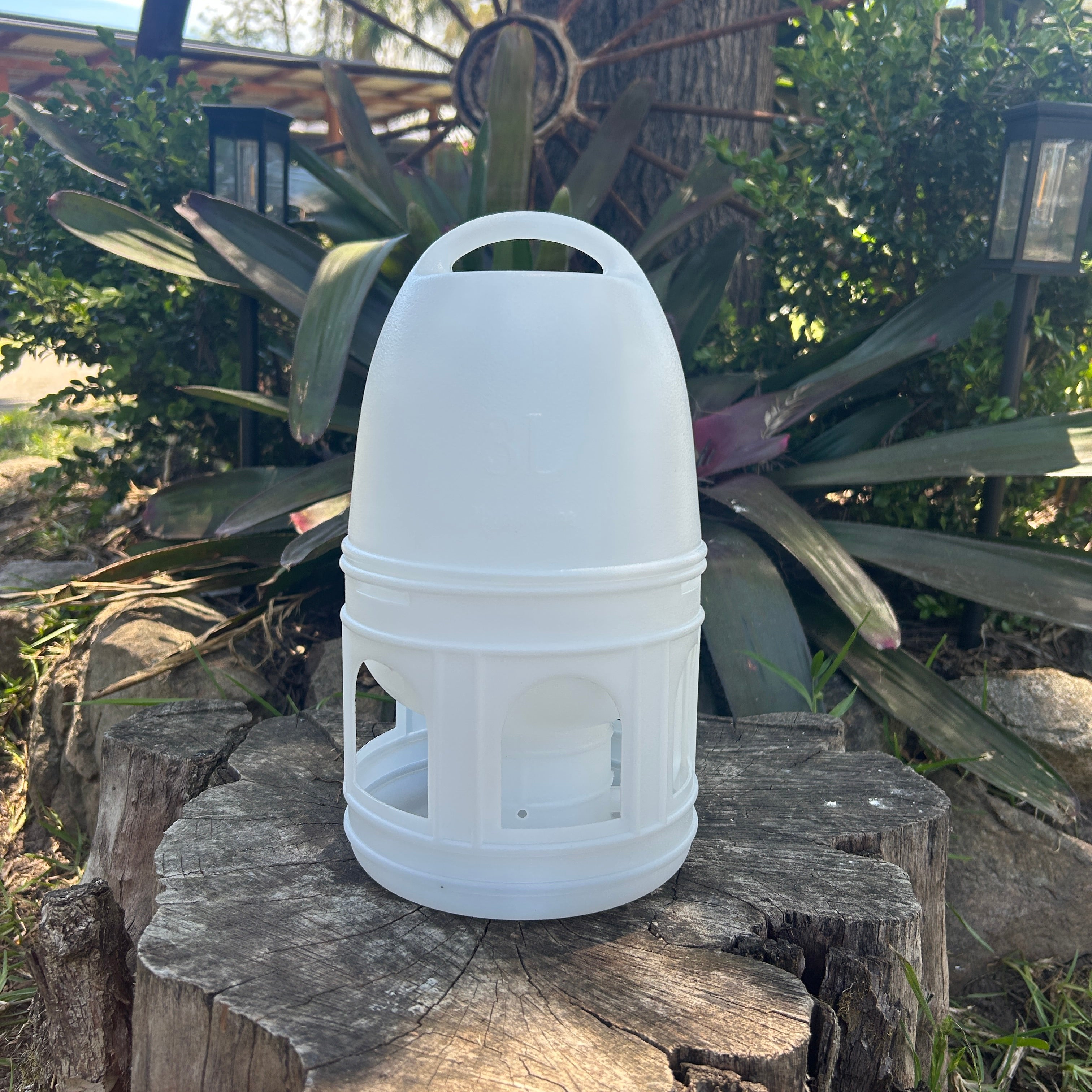 Bullet Drinker for Pigeon Chicken Poultry – MrBirdBox